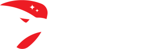 RIC Defence – Supply. Secure. Adapt